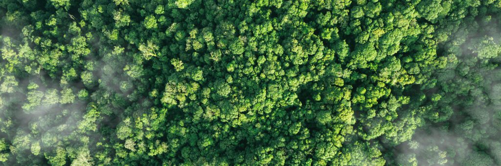 Explore Now Careers in Sustainability & ESG Roles